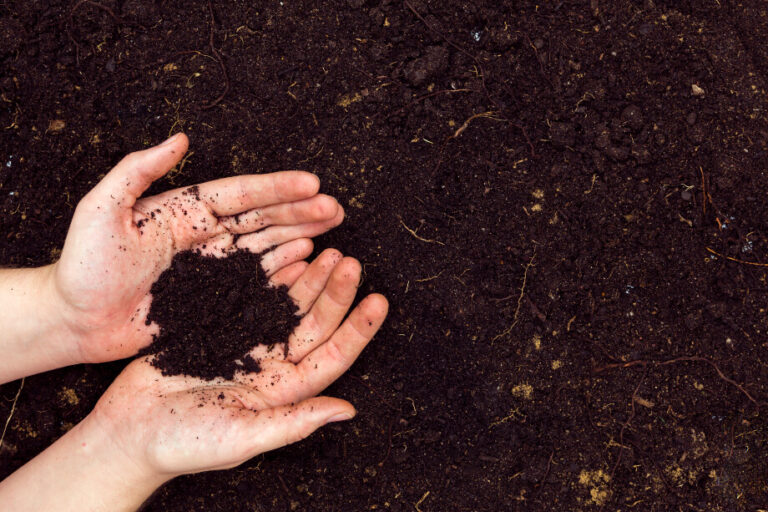 Análise de solo: como funciona, tipos e importância - Elevagro